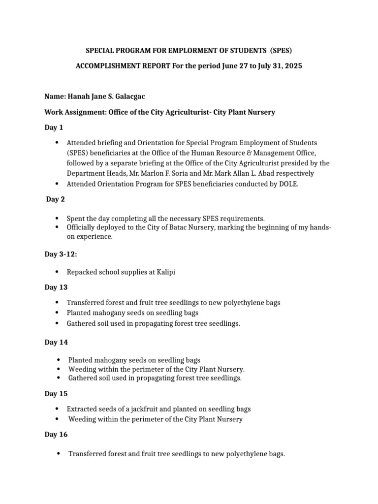 Spes Accomplishment Report | PDF