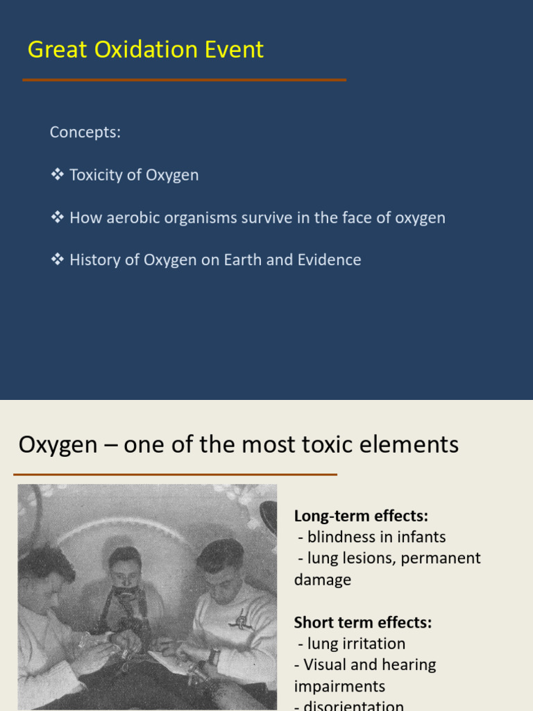 04 Oxidation Event 3-23-22 | PDF | Oxygen | Antioxidant