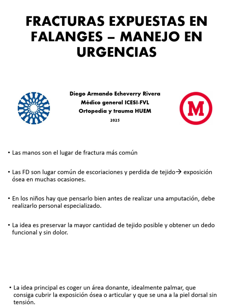 Manejo de Fracturas en Falanges | PDF | Hueso | Medicina CLINICA