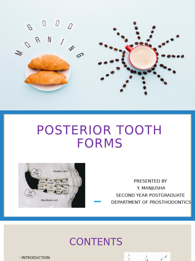 POSTERIOR TOOTH FORMS (1) (Autosaved) | PDF | Dentures | Dentistry Branches