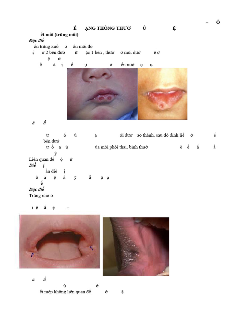 Bu I 2 BHM - HM | PDF