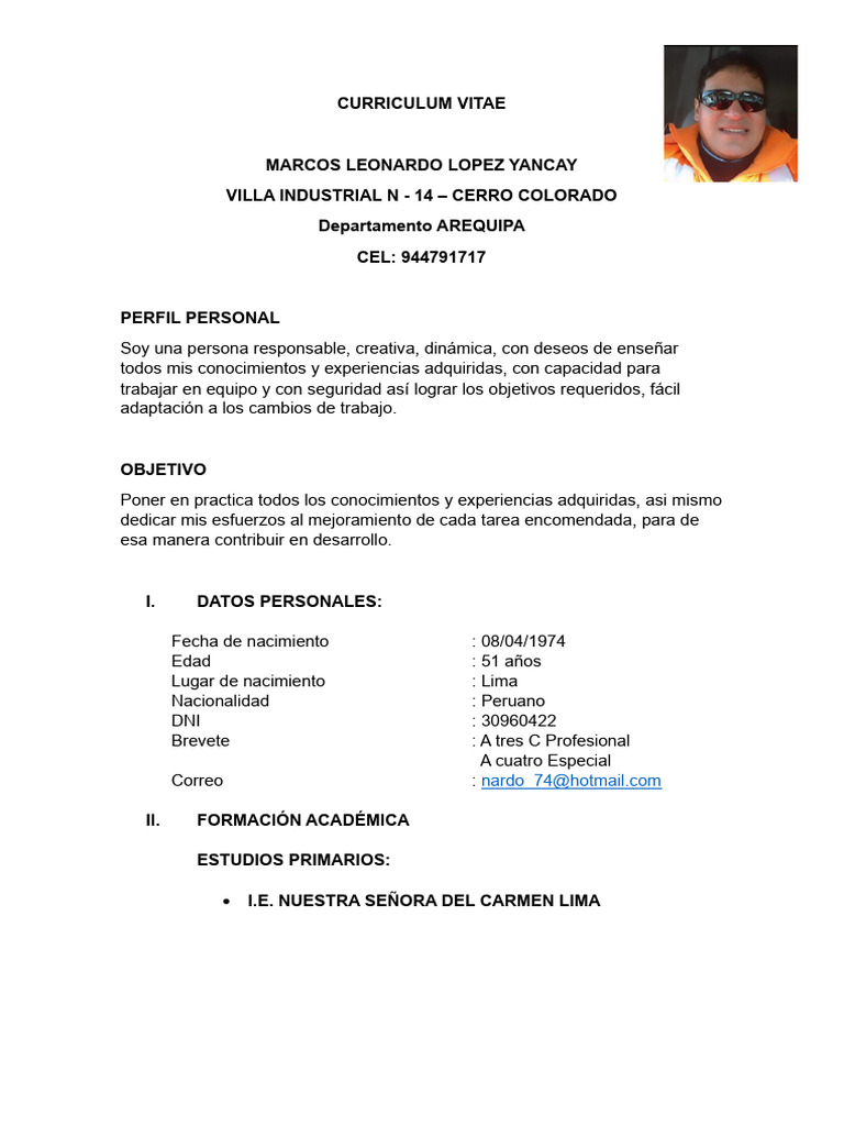 Curriculum Vitae Leonardo | PDF
