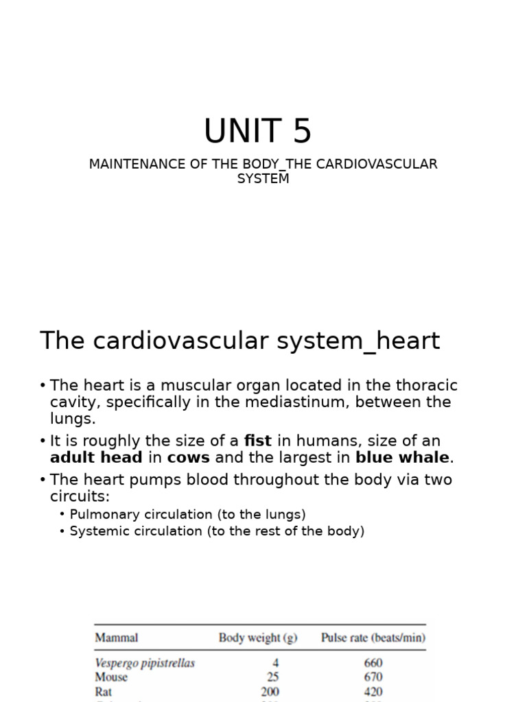 Cardiovascular System - The Heart 2 | PDF | Heart Valve | Heart