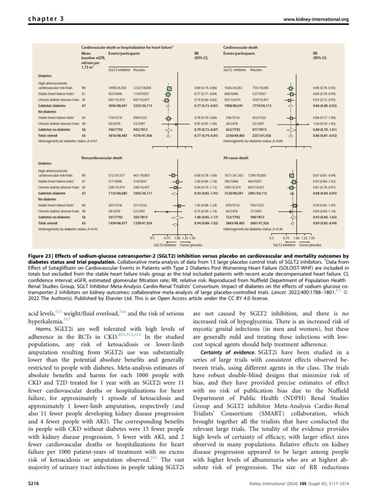Guía Kdigo Irc 1 199 6 | PDF | Chronic Kidney Disease | Diabetes