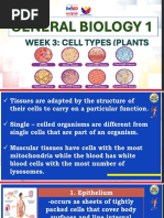 Padhle - Tissues - Class 9 Science Handwritten Notes | PDF