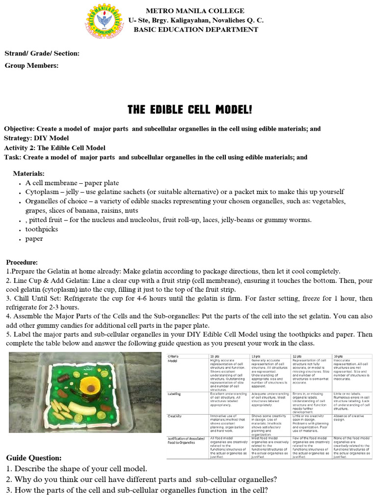 The Edible Cell Model Worksheet | PDF