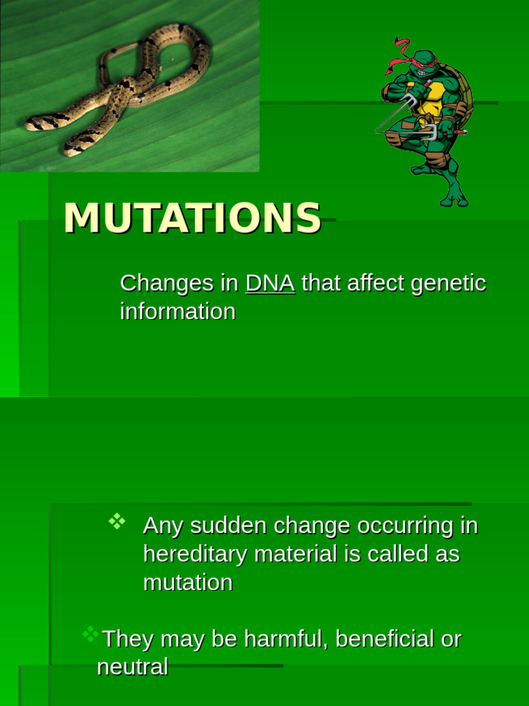 Unit II Topic 4 MUTATIONS | PDF | Mutation | Genetics