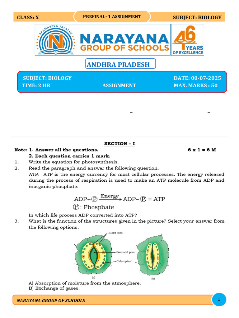 6.AP X-ssc Biology Prefinal-1_revision Assignment | PDF | Breathing | Cellular Respiration