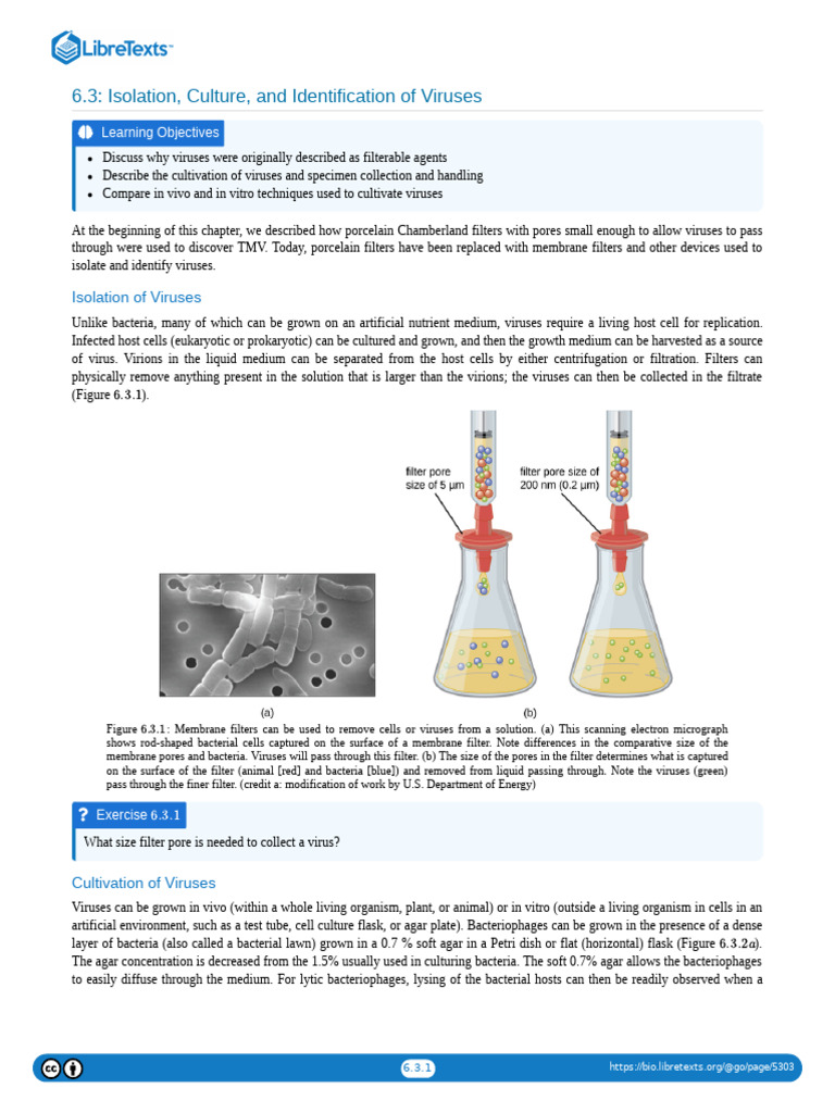 Atopsy Viral Isolation Culture and Identification of Viruses | PDF ...