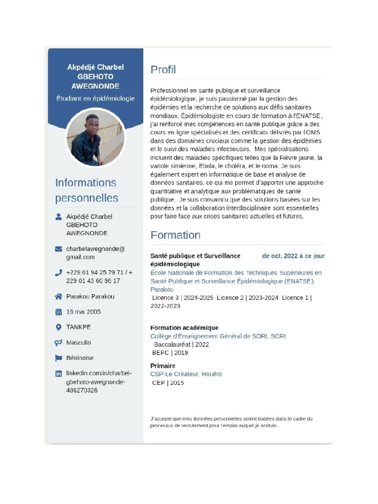Curriculum Vitæ Charbel | PDF