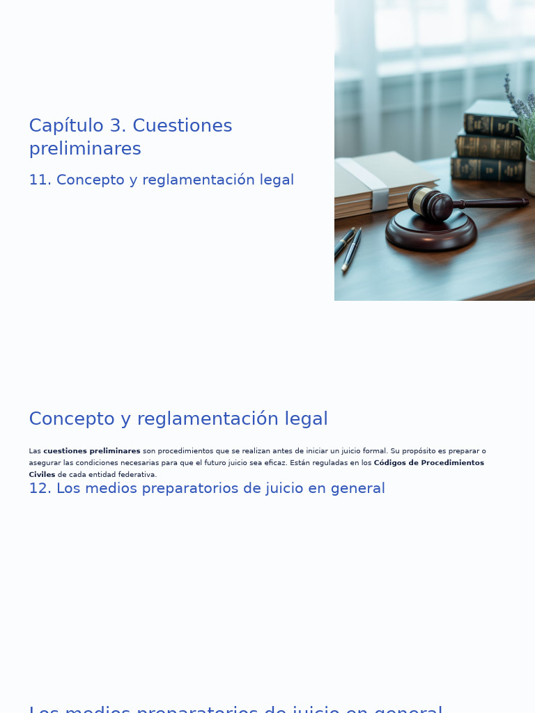 Cuestiones Preliminares en Juicios | PDF | Audiencia preliminar | Justicia