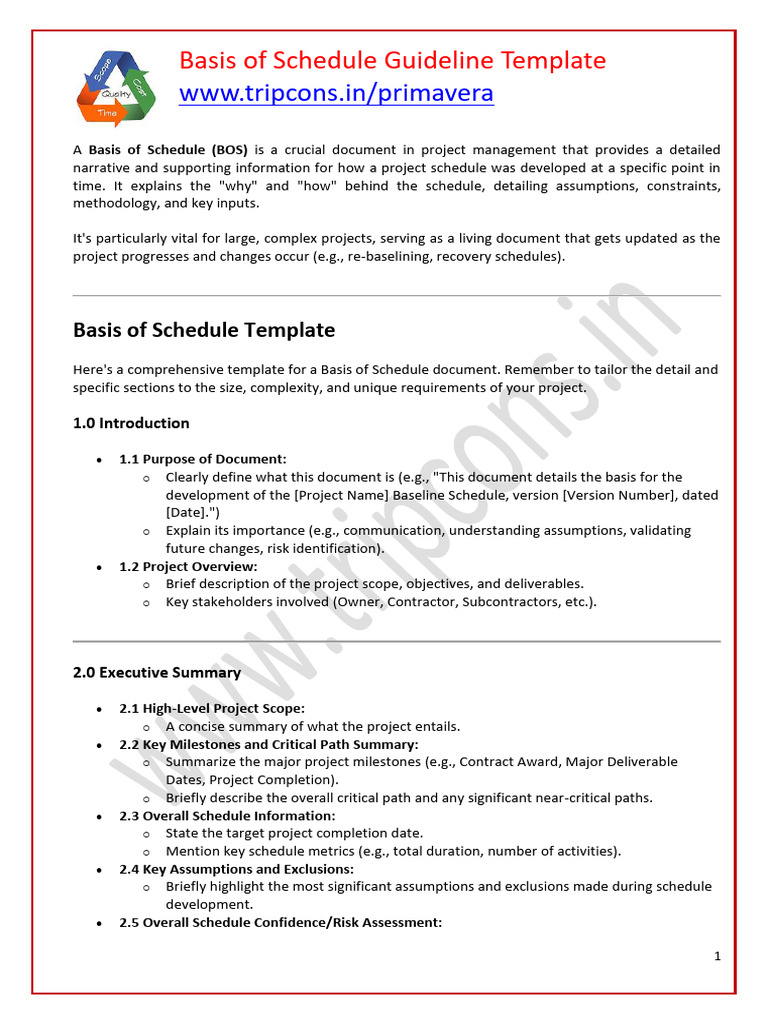 10 Basis of Schedule Guideline Template | PDF