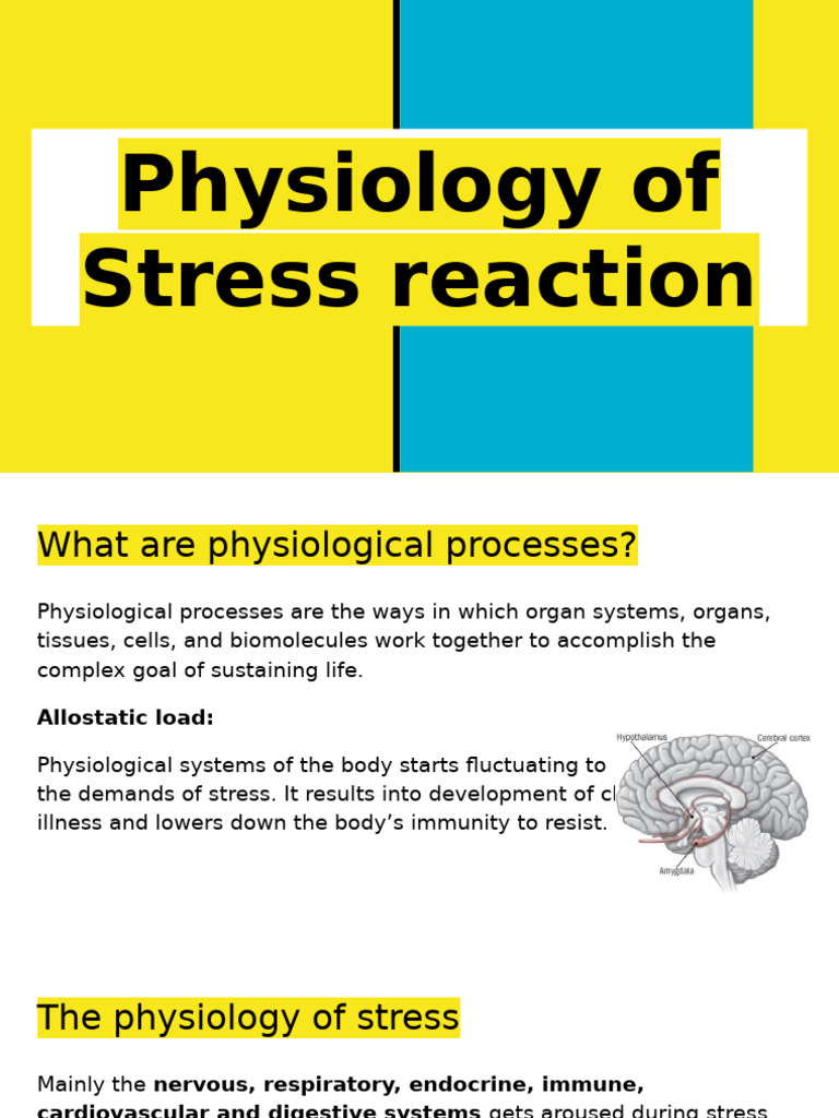 Physiology of Stress Reaction | PDF
