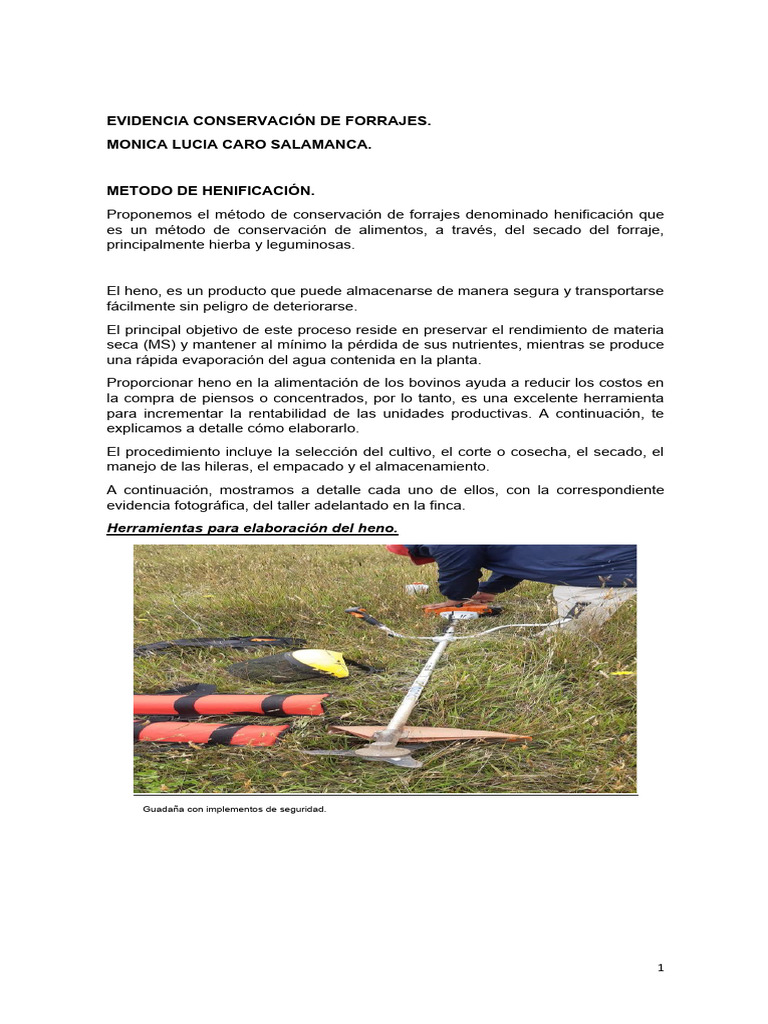 Actividad 2. Evidencia Conservación de Forrajes | PDF | Heno | Pasto