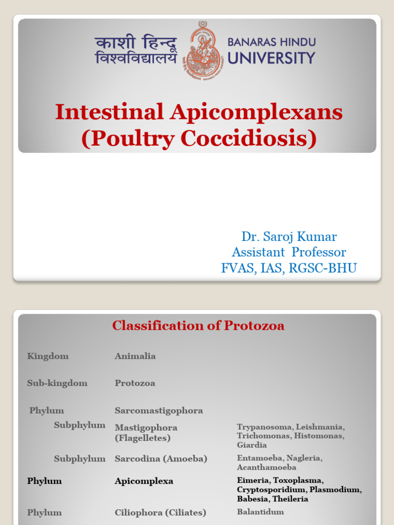 Intestinal Apicomplexa (Poultry Coccidiosis) | PDF | Biology | Parasitology