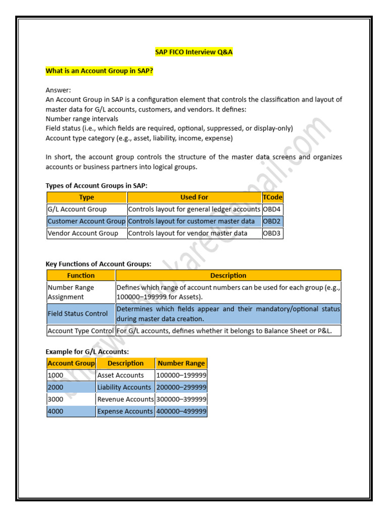 Understanding Account Groups in SAP FICO | PDF