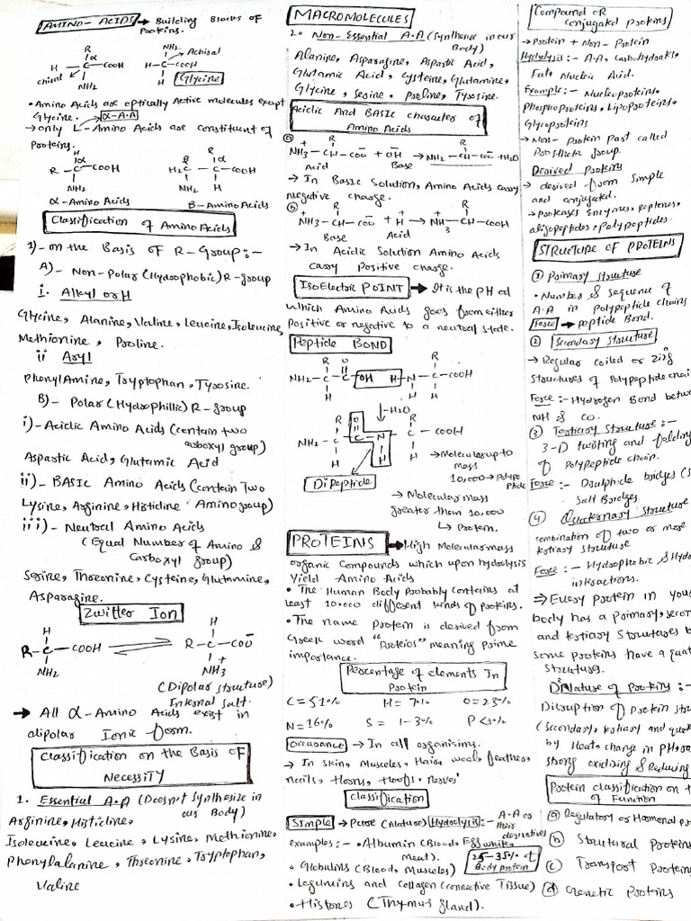 Important Handmade Notes For MDCAT | PDF