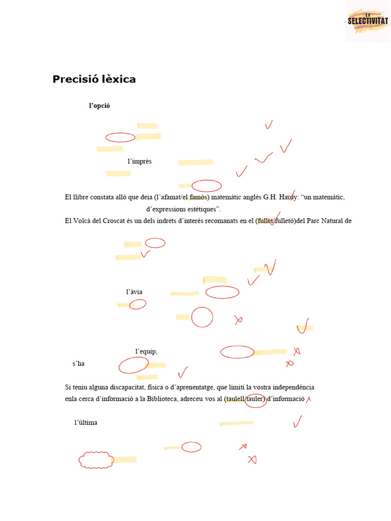 Precisió Lèxica Exercicis | PDF