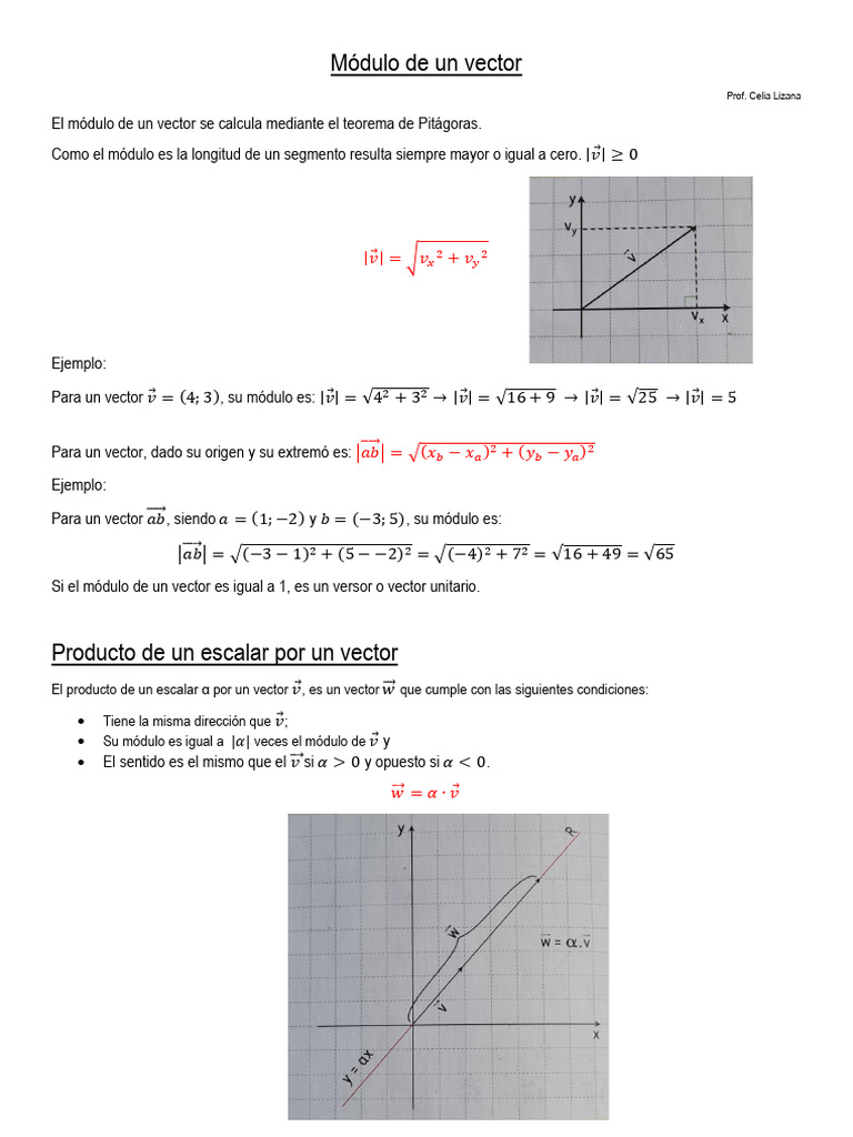 Módulo de Un Vector | PDF | Vector Euclidiano | Álgebra lineal