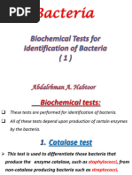 EnteroPluri Tube: Biochemical Testing Guide | PDF | Biology | Microbiology