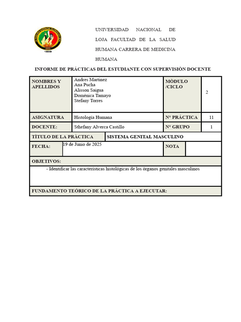 Informe de Práctica N.11 - Sistema Genital Masculino - Docx - Compressed | PDF