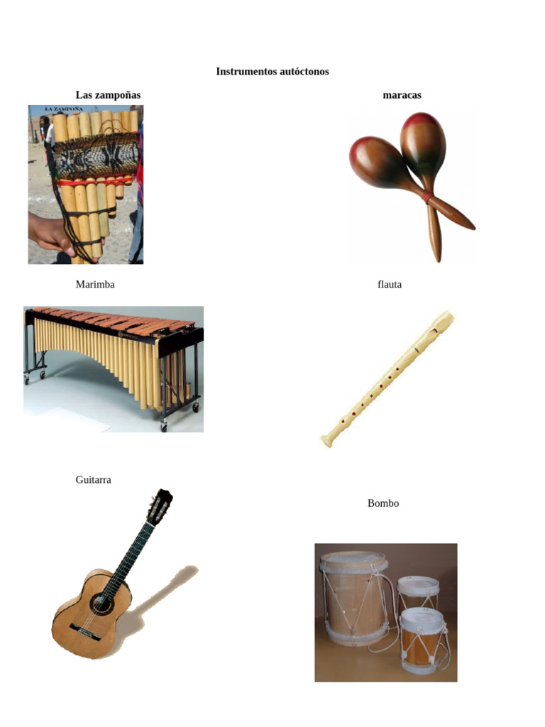 10 Instrumentos Autoctonos de Honduras Solo Imagen | PDF