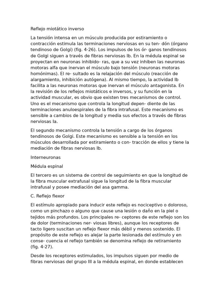 Reflejo Miotático Inverso y su Función | PDF | Neurona motora | Neurona
