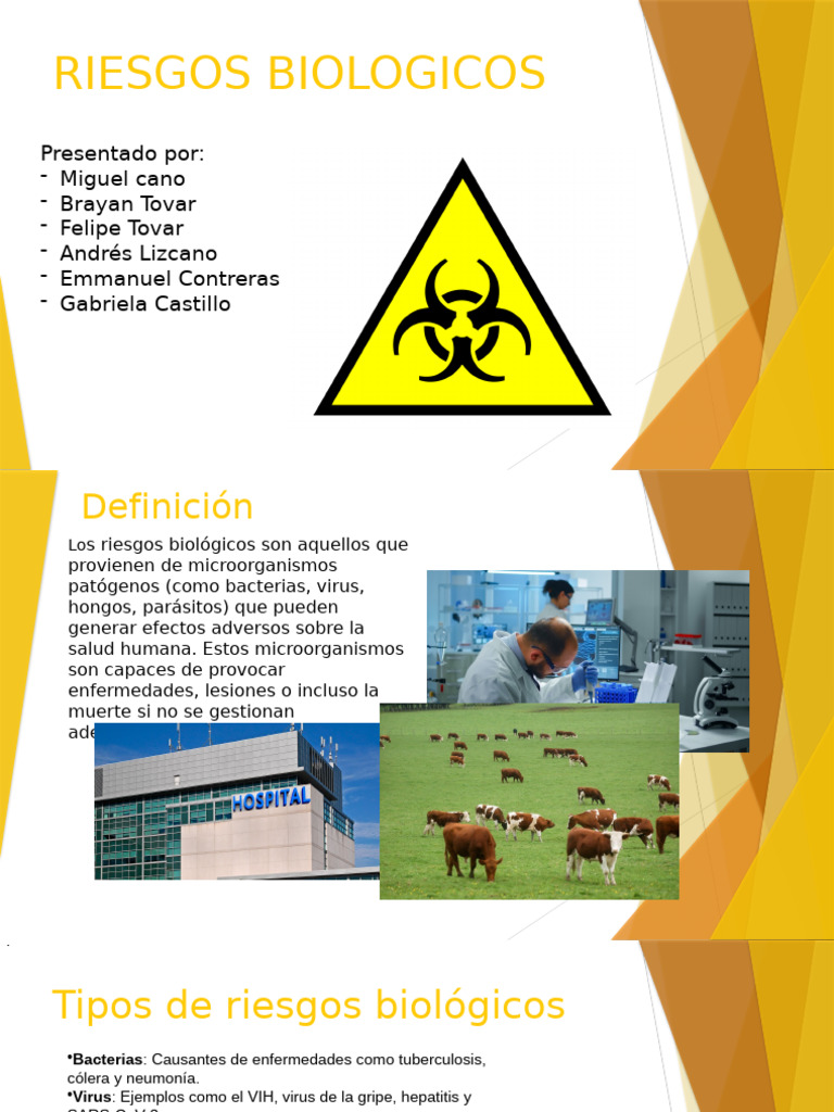 Riesgos Biologicos | PDF | Virus | Influenza