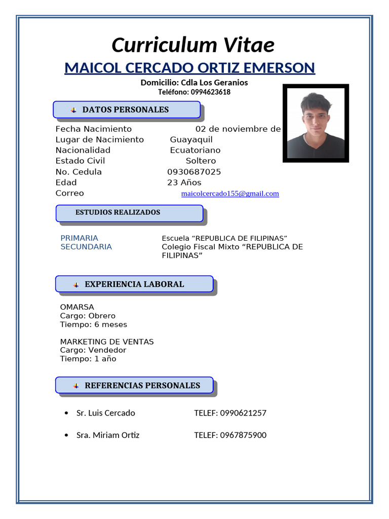 CV Maicol Cercado Ortiz Emerson | PDF