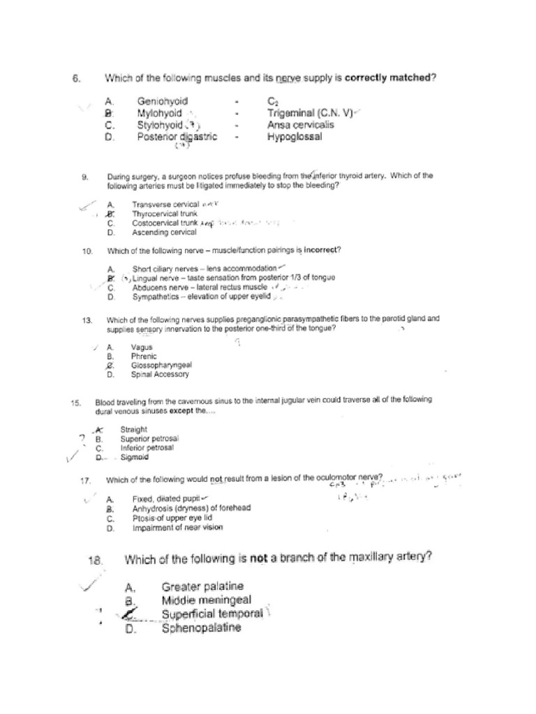 Anatomy Unit 3 | PDF