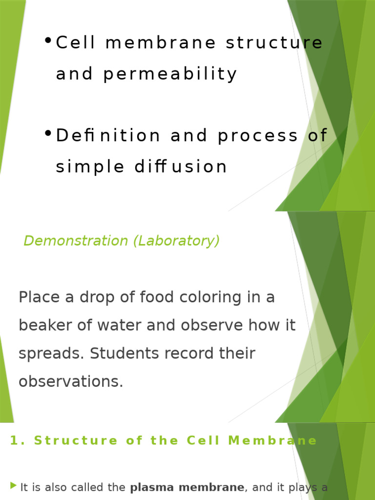 Simple Diffusion in Cell Membranes | PDF