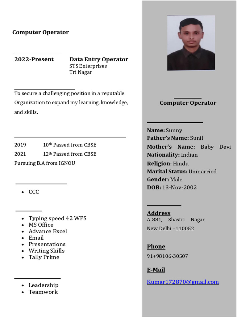 Sunny Resume (T) | PDF