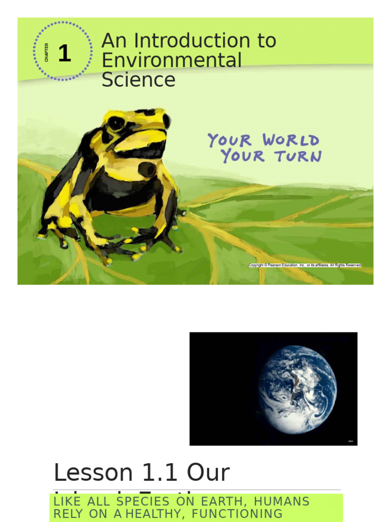 Chapter 1 Powerpoint | PDF | Experiment | Science