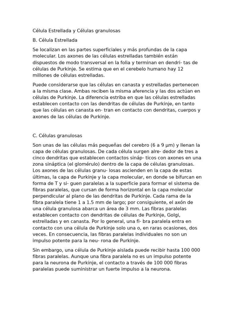 Célula Estrellada y Células Granulosas | PDF