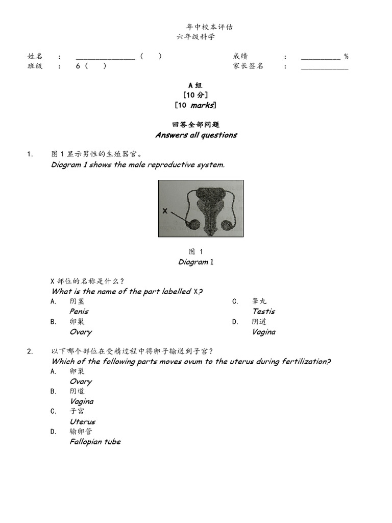 UPSA Standard 6 Sains | PDF | Reproductive System | Biology