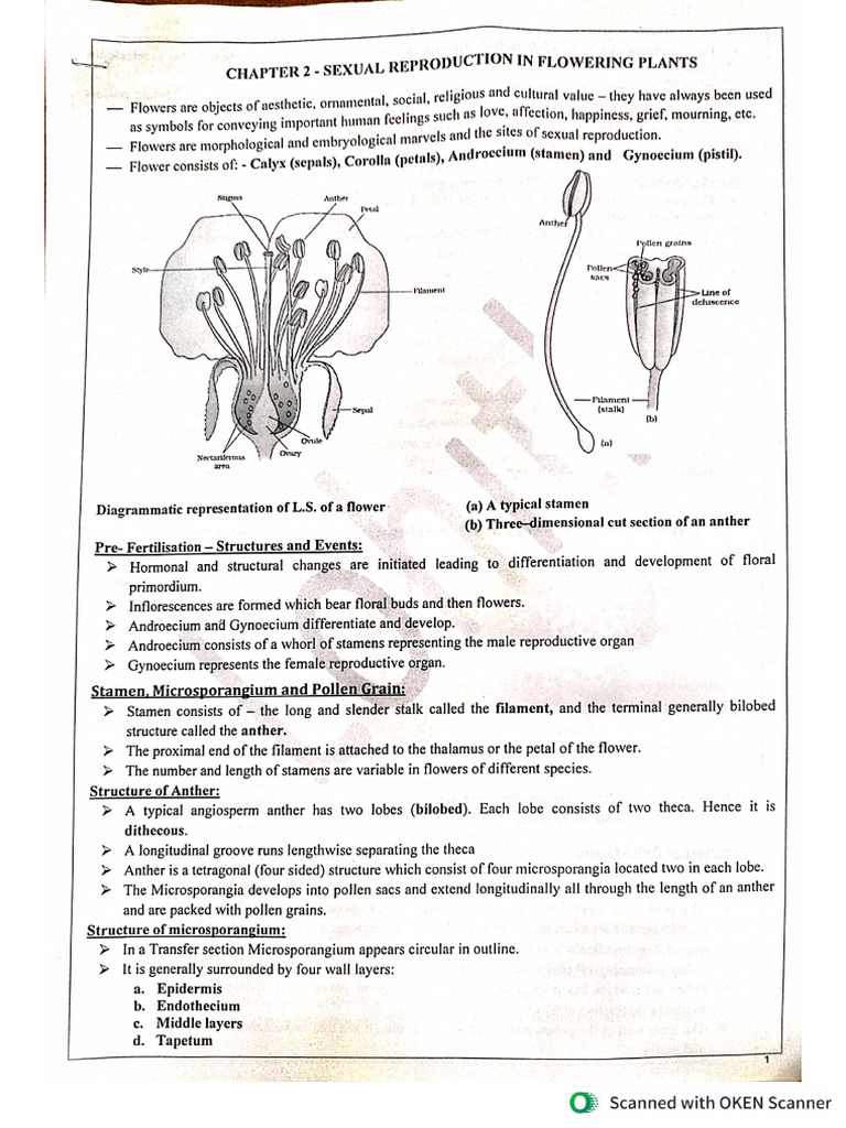Sexual Reproduction in Flowering Plants | PDF