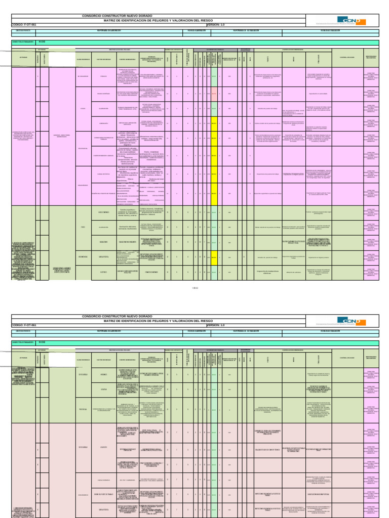 061- Matriz de Peligros y Valoracion Del Riesgo | PDF | Encendiendo | Enfermedades y trastornos