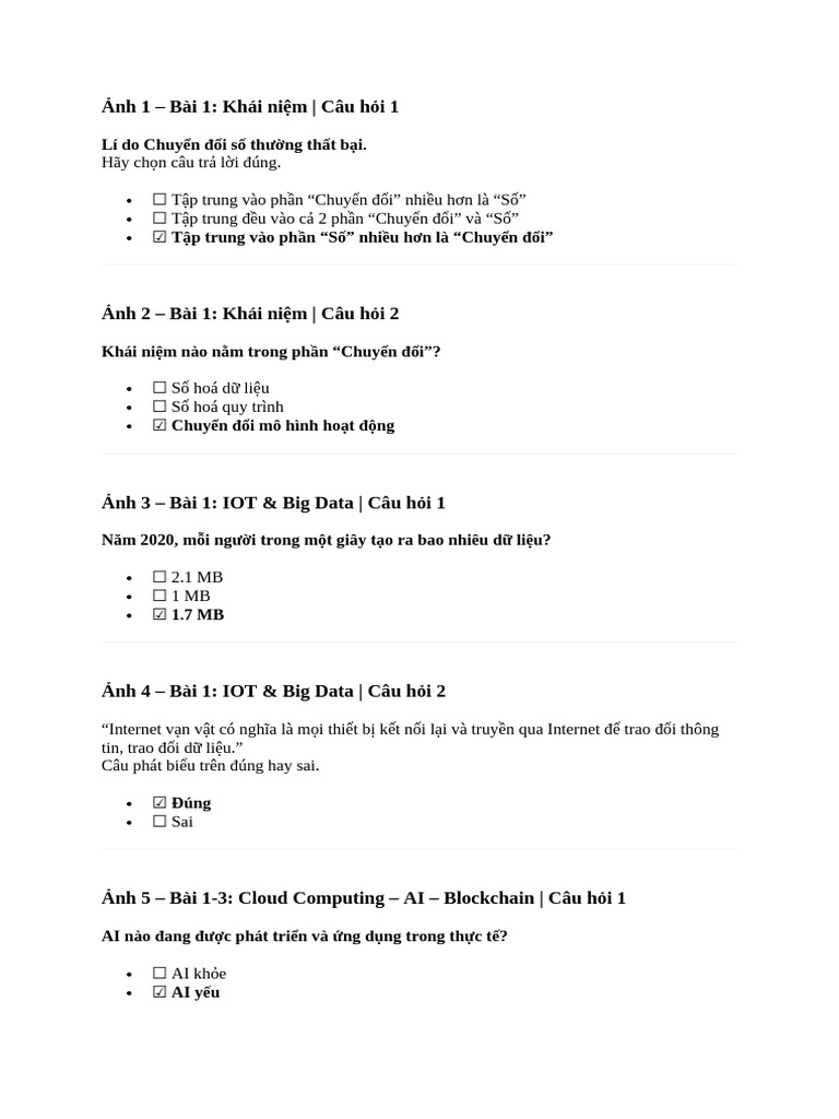 B Đáp Án Cu C Thi AI | PDF