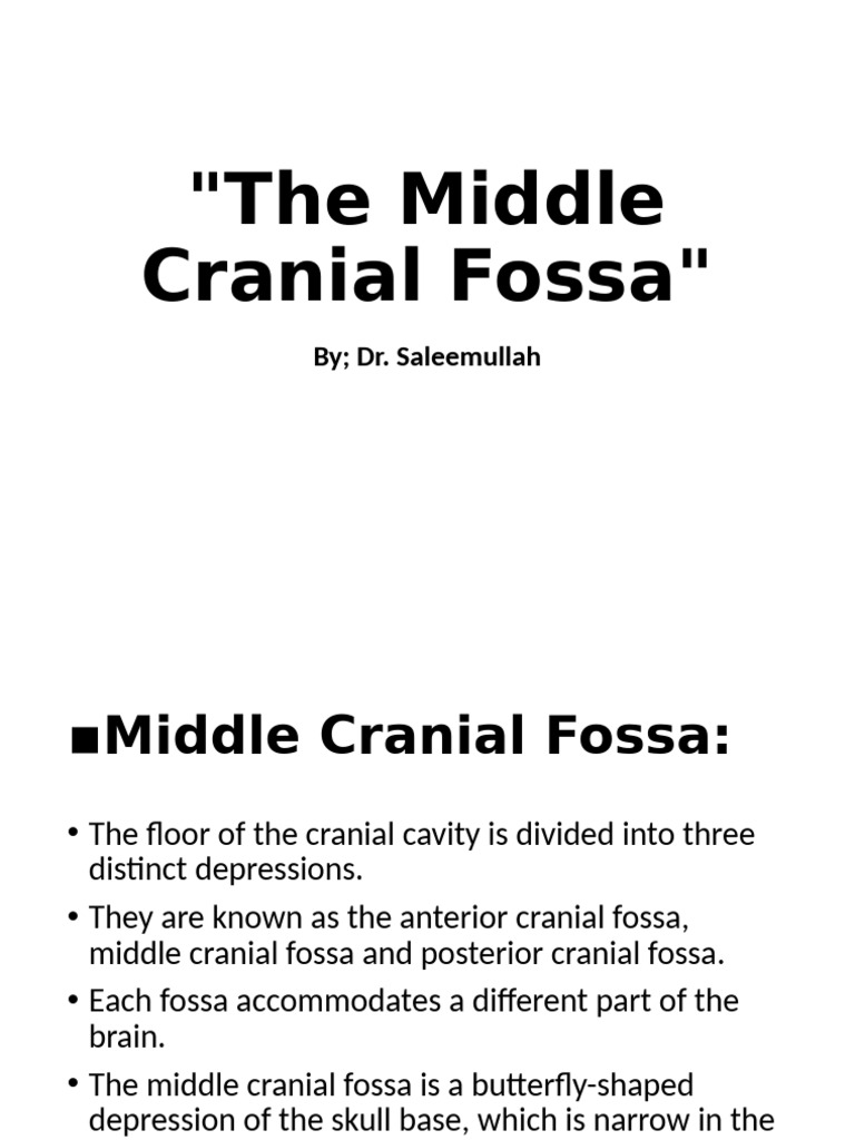 Anatomy of the Middle Cranial Fossa | PDF | Human Anatomy | Human Head ...