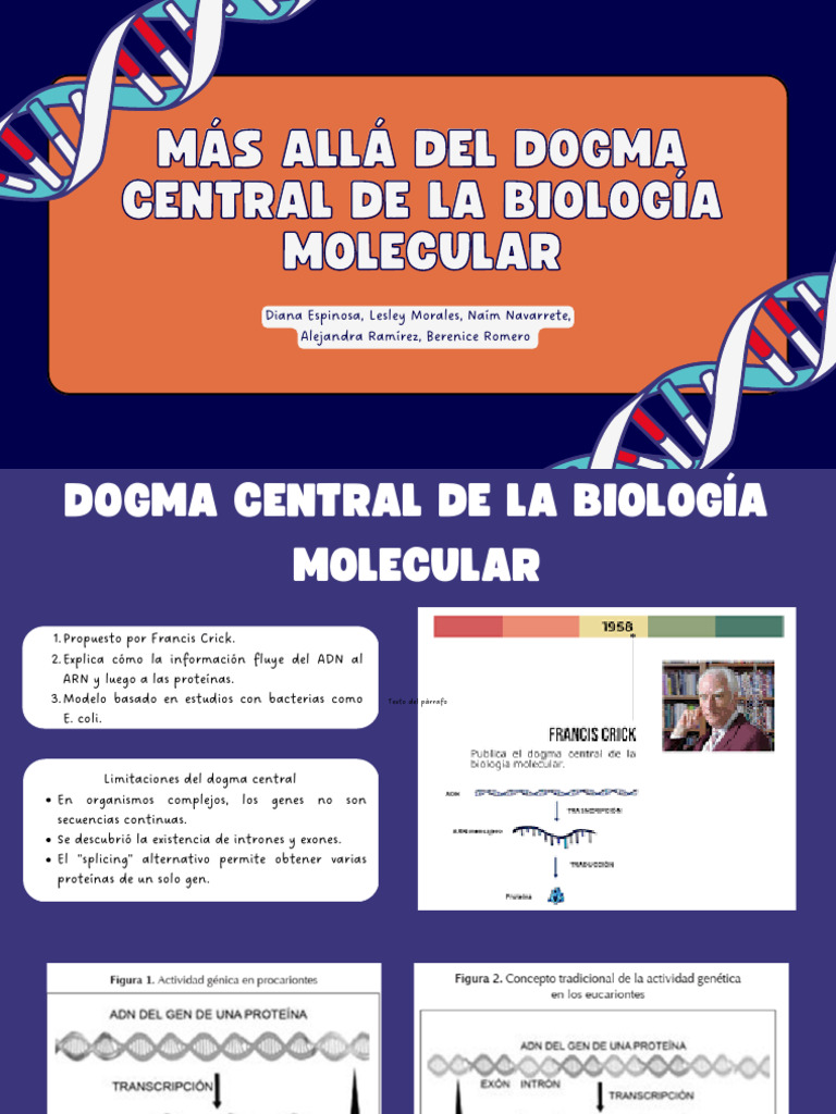 Más Allá Del Dogma Central de La Biología Molecular | PDF | Rna | Gene