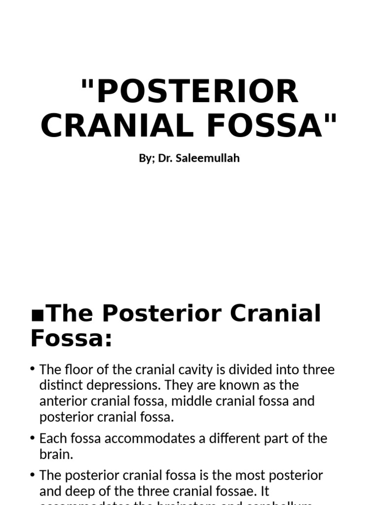 Anatomy of the Posterior Cranial Fossa | PDF | Brainstem | Skull