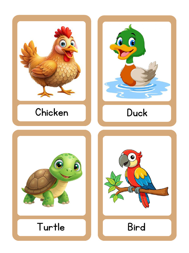 Colour Farm Animal Vocabulary Photo Flashcards - 20250812 - 061504 ...