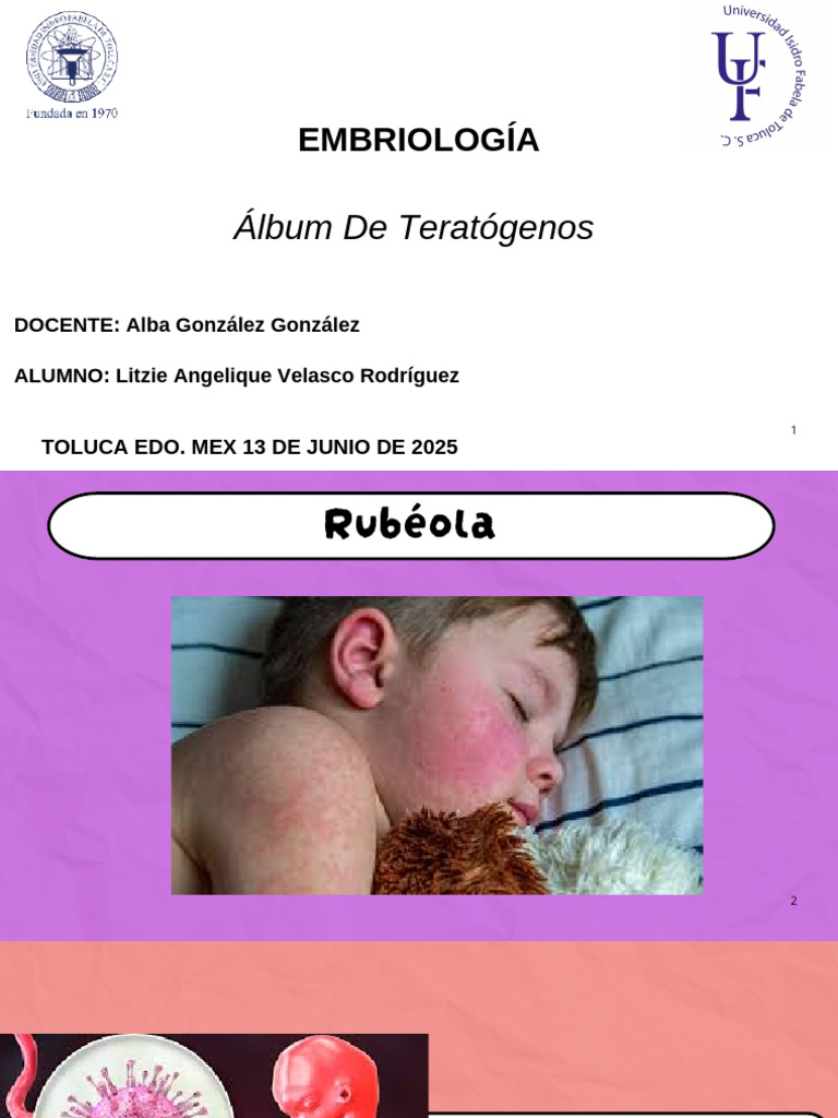 Teratógenos en Embriología Médica | PDF