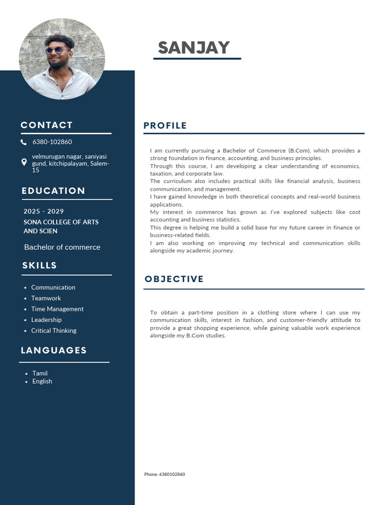 Blue Simple Professional CV Resume PDF | PDF