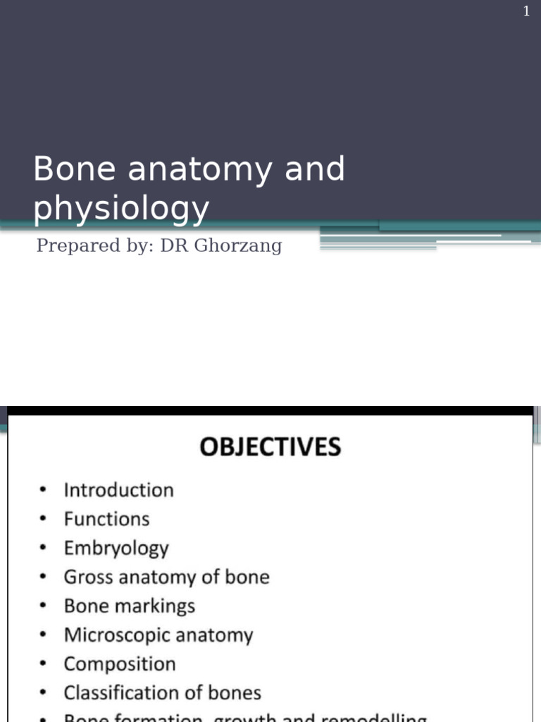 Bone Anatomy and Physiology | PDF