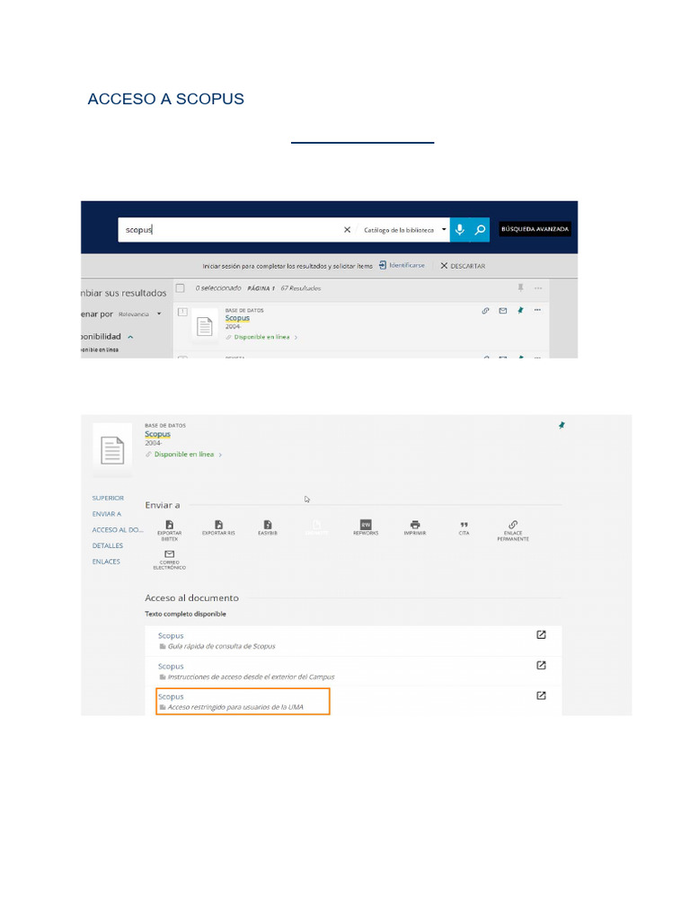 Acceso scopus | PDF