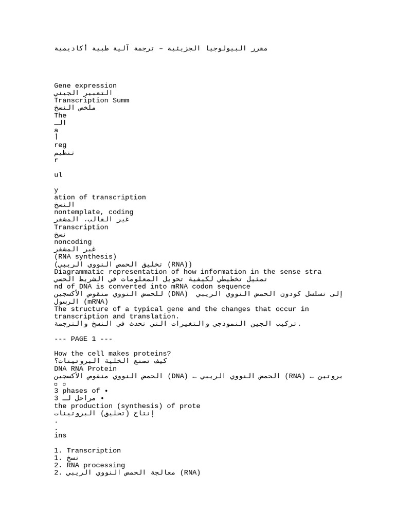 Translated Document | PDF