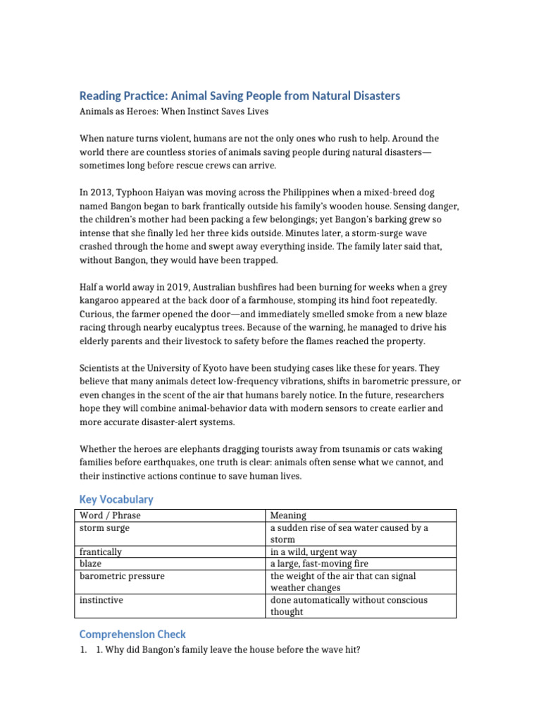 Animal Instinct Disasters Reading | PDF | Natural Disasters | Tsunami