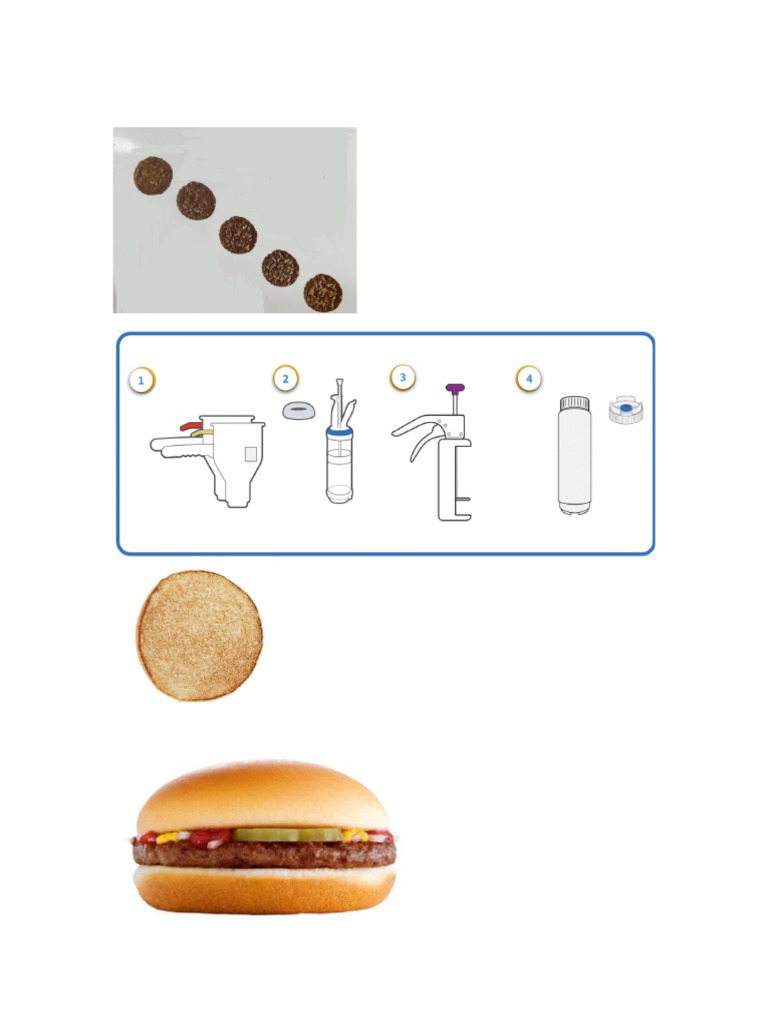 Ingredientes de Hamburguesas y BBQ | PDF