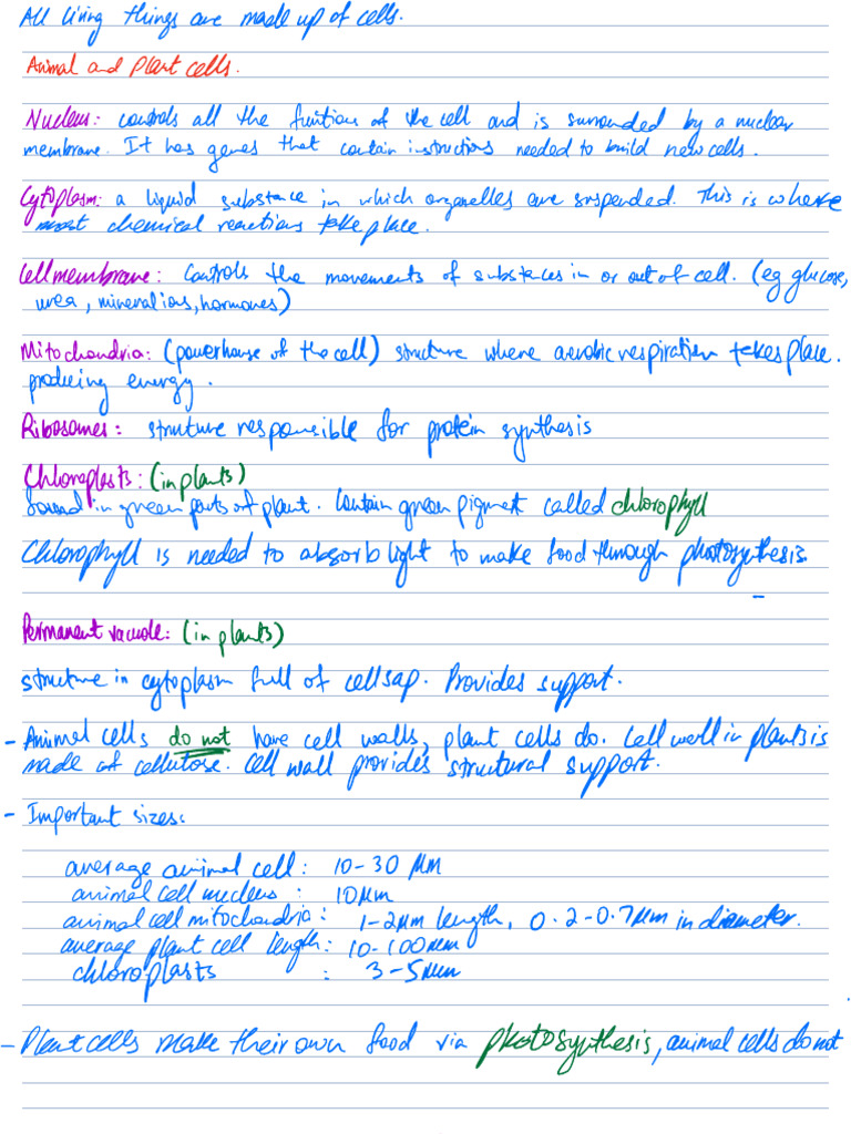 Cell Structure and Functions Overview | PDF | Cell (Biology) | Eukaryotes